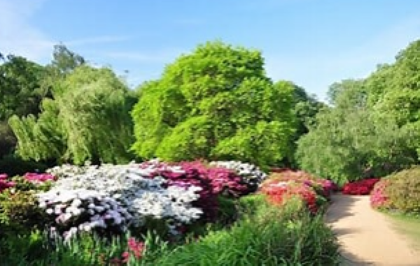 Isabella Plantation Walk - Barnes WI